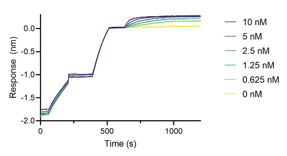 Nano Captureligand™ Human Igg Rabbit Igg Fc Specific Vhh Biotinylated