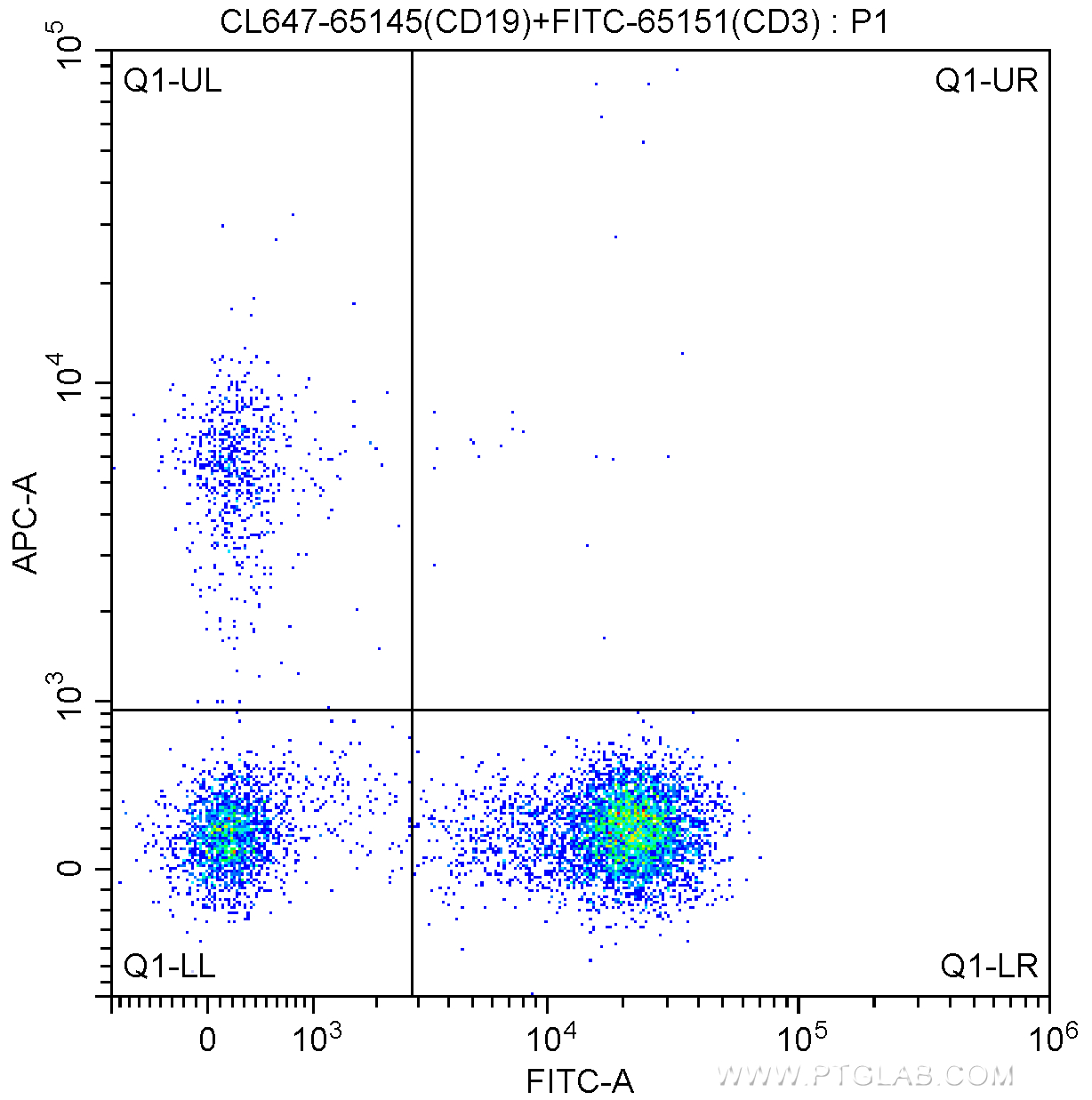 CD19 Antibody CL647-65145 | Proteintech