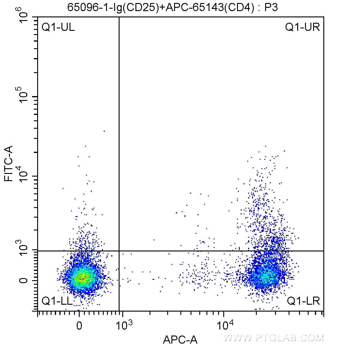 CD25 Antibody 65096-1-Ig | Proteintech