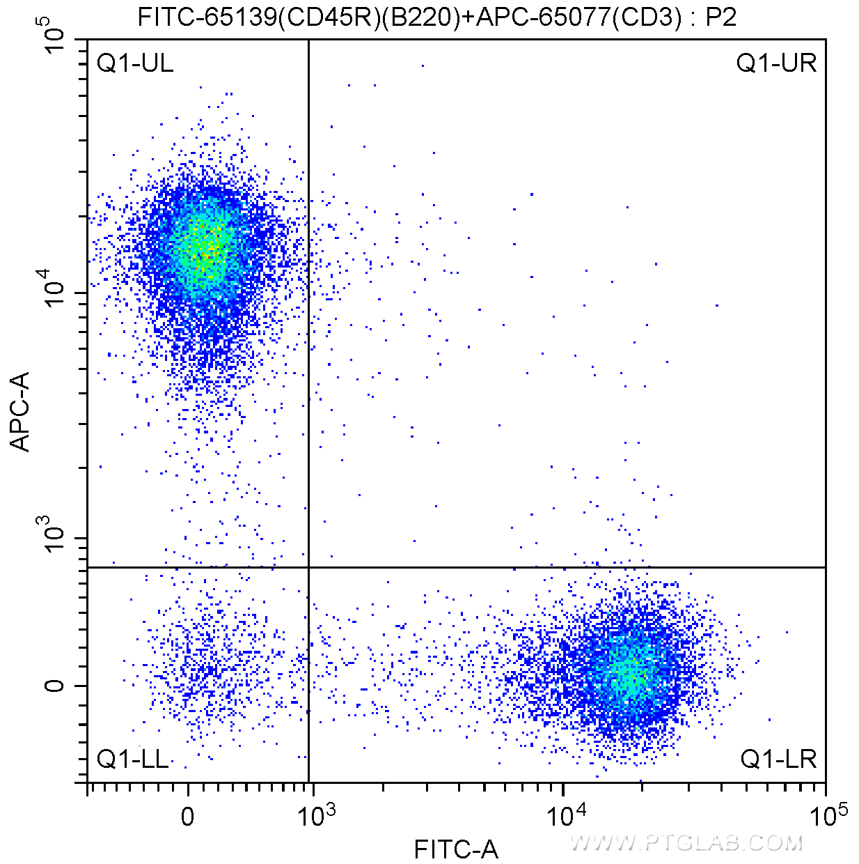 CD45R (B220) Antibody FITC-65139 | Proteintech